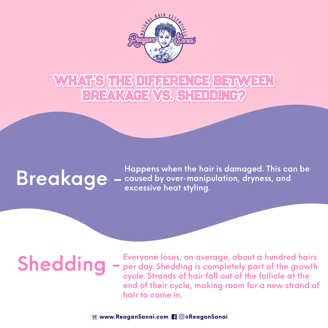 The Difference Between Breakage and Shedding – Reagan Sanai Natural ...